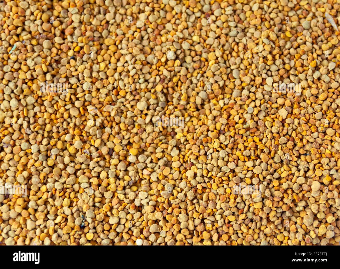 Bee pollen granules ttexture close up. The healthy product from the ...