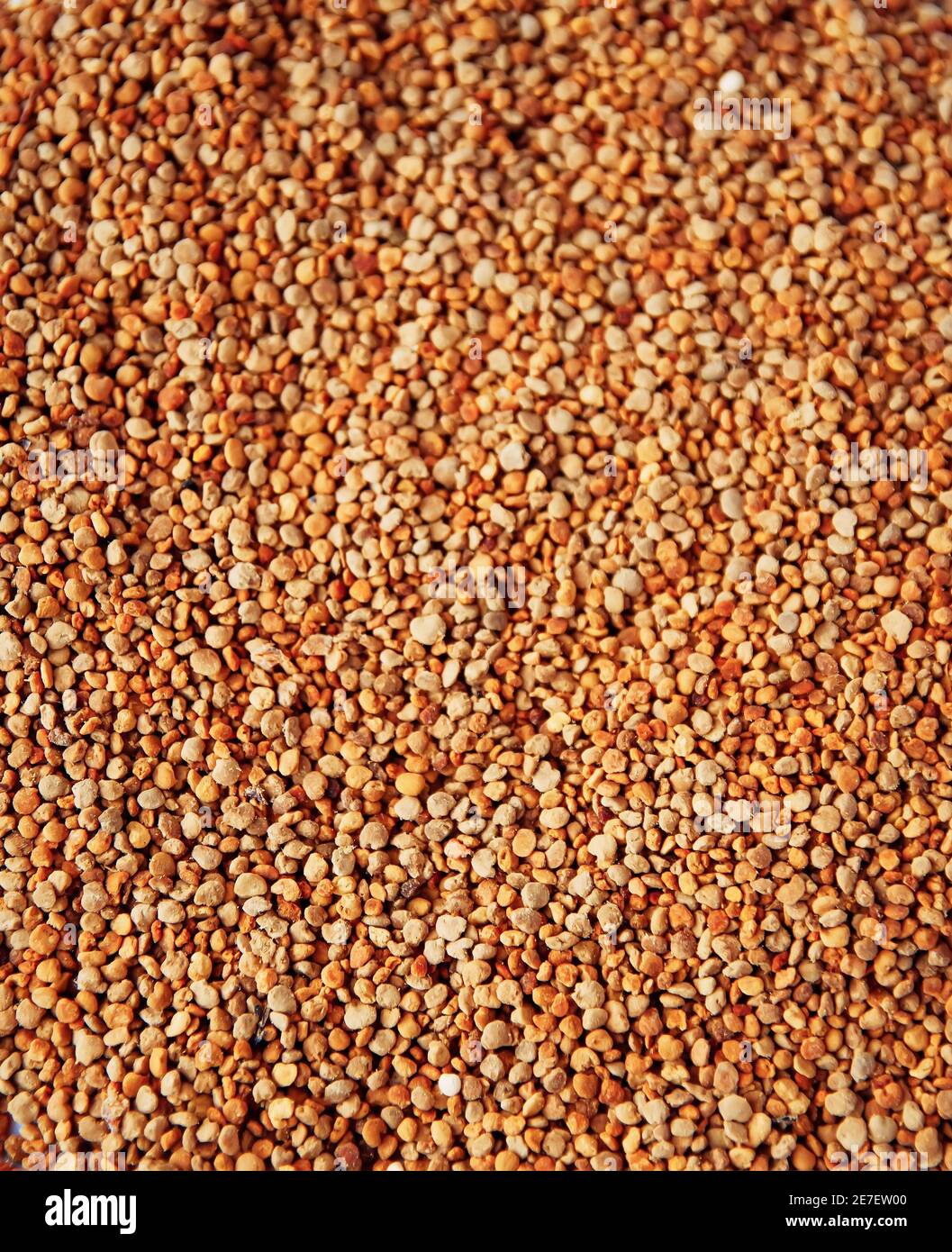 Bee pollen granules ttexture close up. The healthy product from the ...