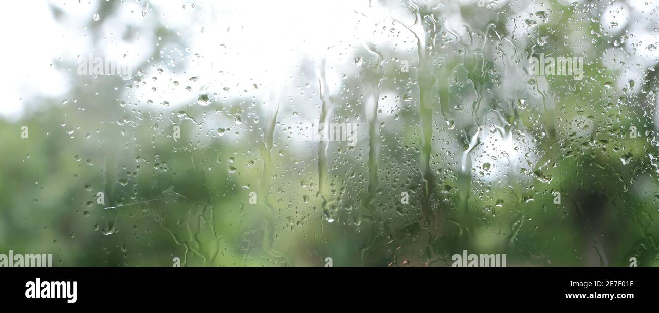 View through the window to garden of house, raining. Rainfall outside ...