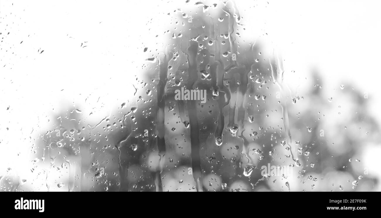 View through the window to garden of house, raining. Rainfall outside ...