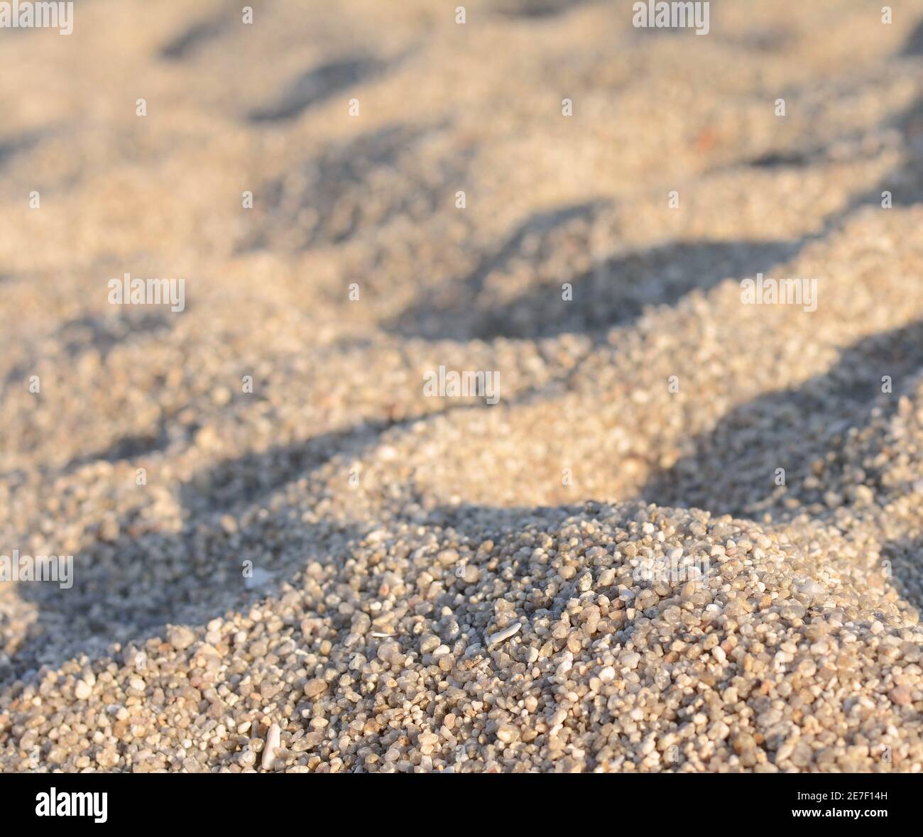 Golden Sand on the beach as background. Sand Texture. Golden sand ...