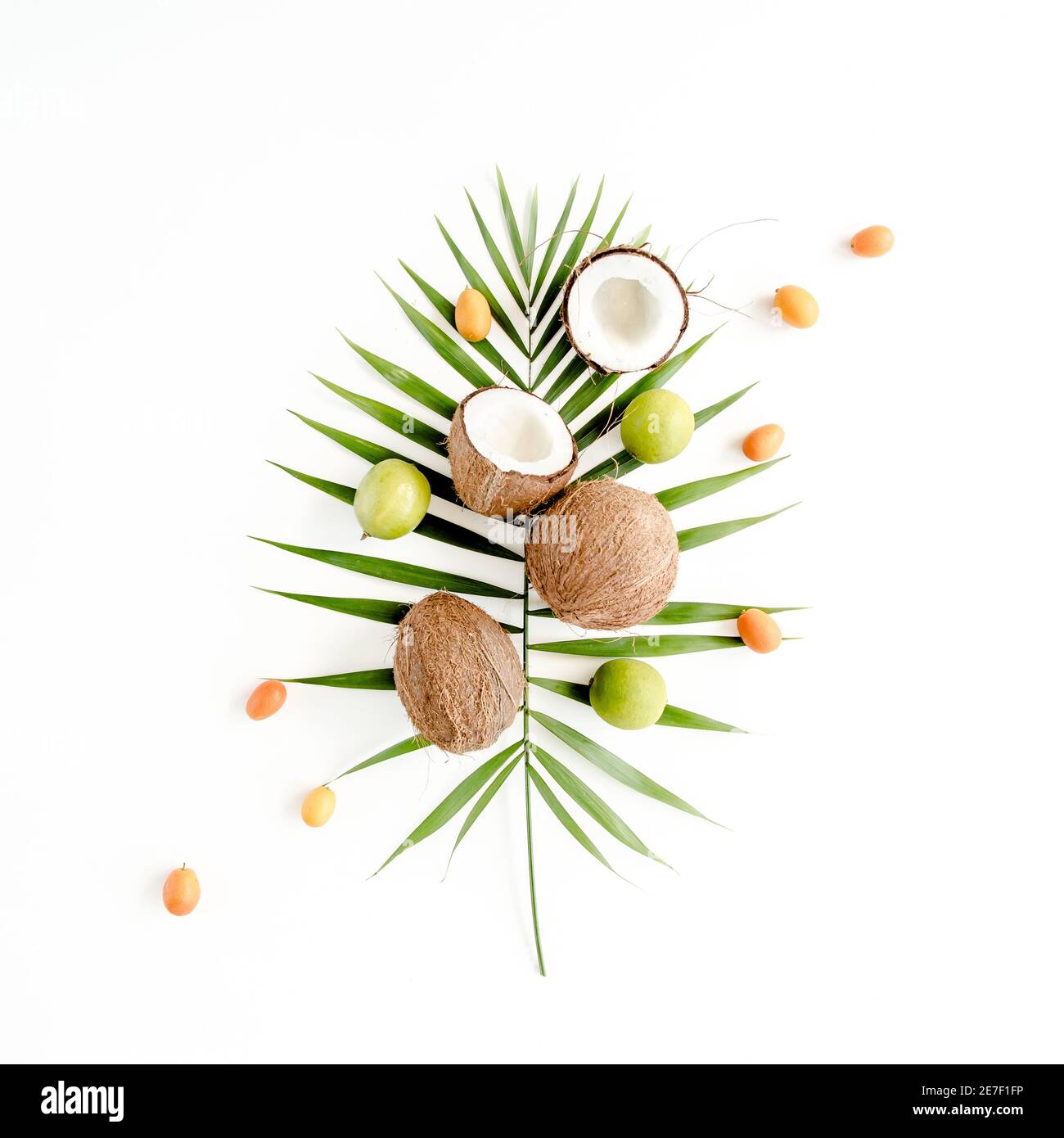 Tropical green palm leaf, lyme and cracked coconut on white background ...