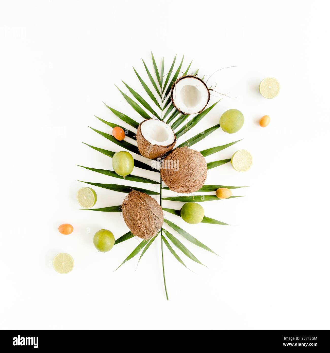 Tropical green palm leaf, lyme and cracked coconut on white background ...