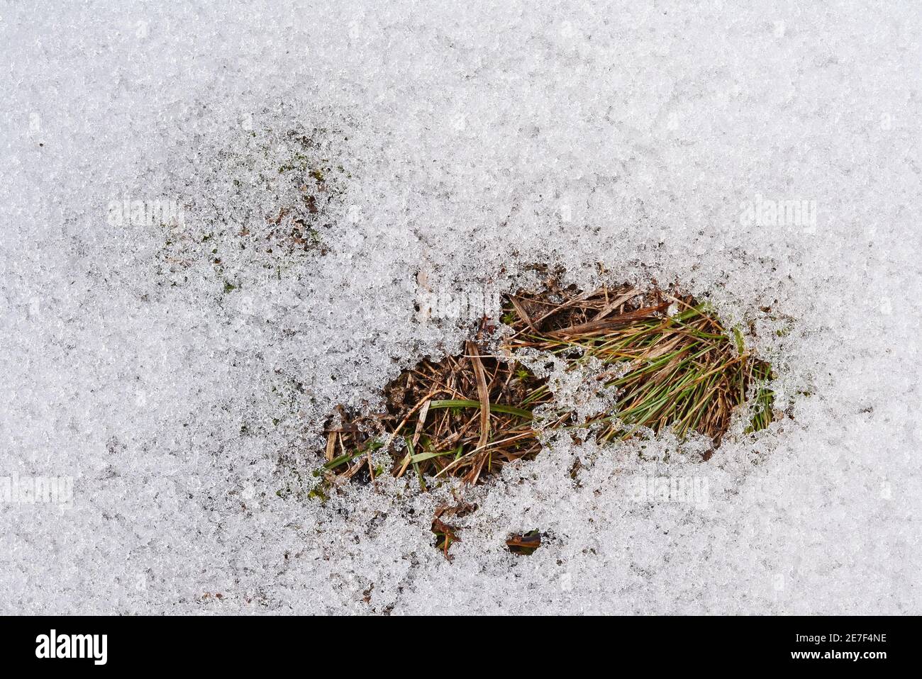 The end of winter. Snow photographed in the winter season, which ...