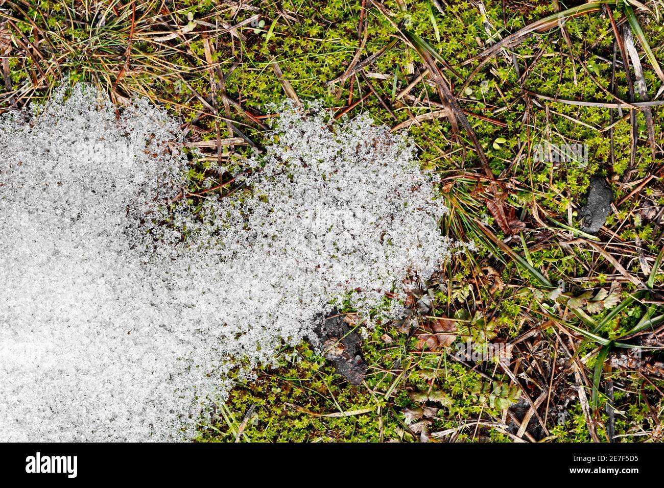 The end of winter. Snow photographed in the winter season, which ...