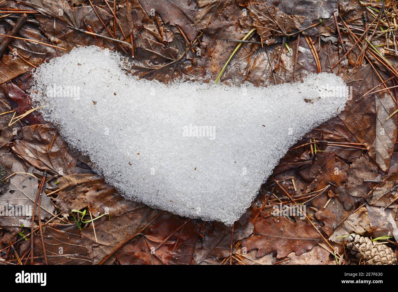 The end of winter. Snow photographed in the winter season, which ...