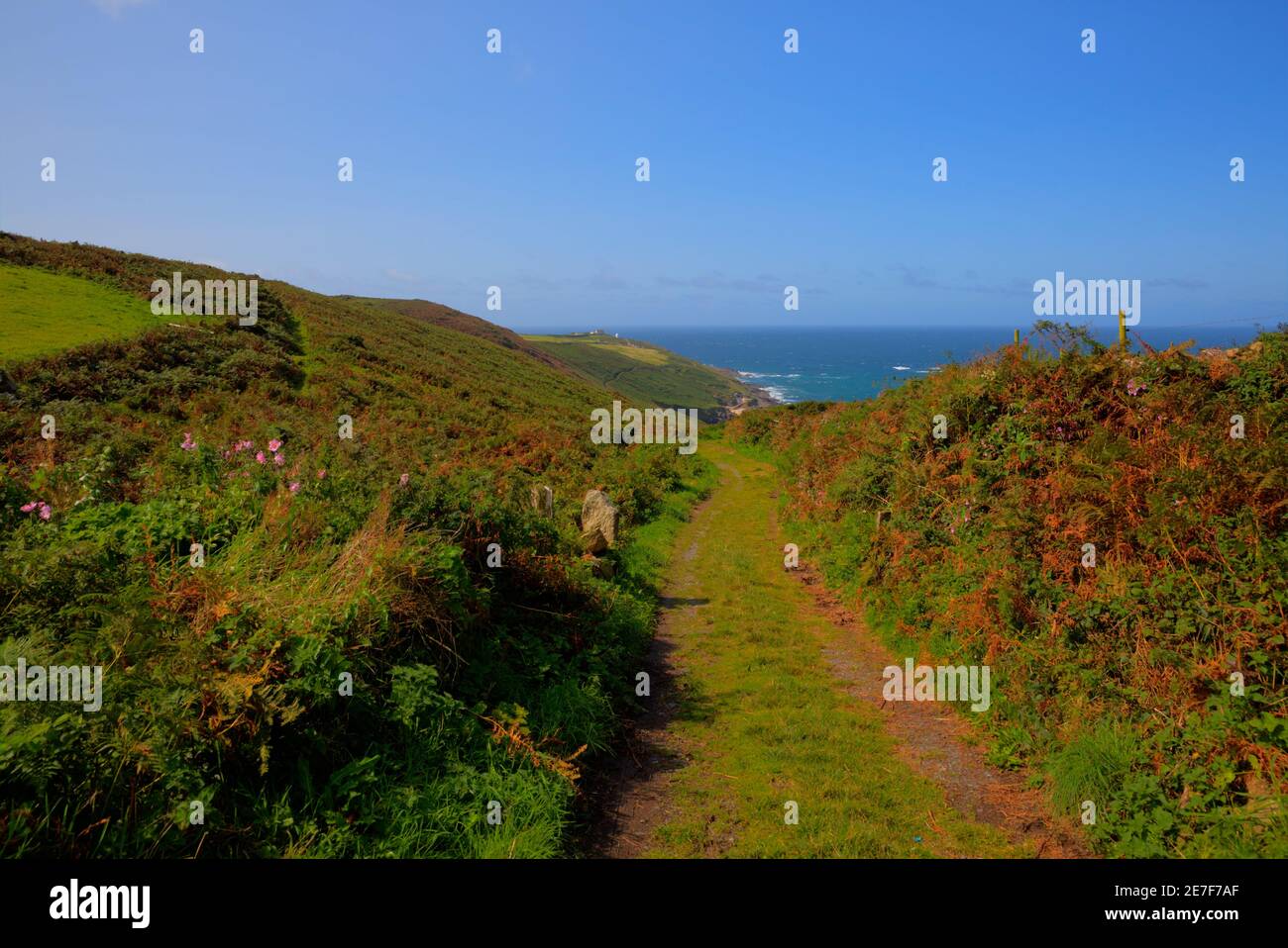 South west coast path Portheras Cove Cornwall near St Ives Stock Photo ...