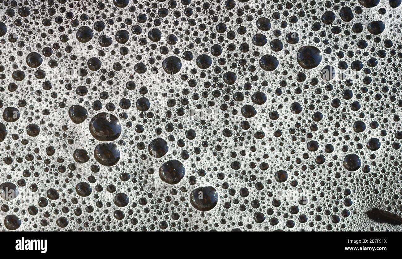 Bubbles Pattern like a Foam Texture Stock Photo - Alamy