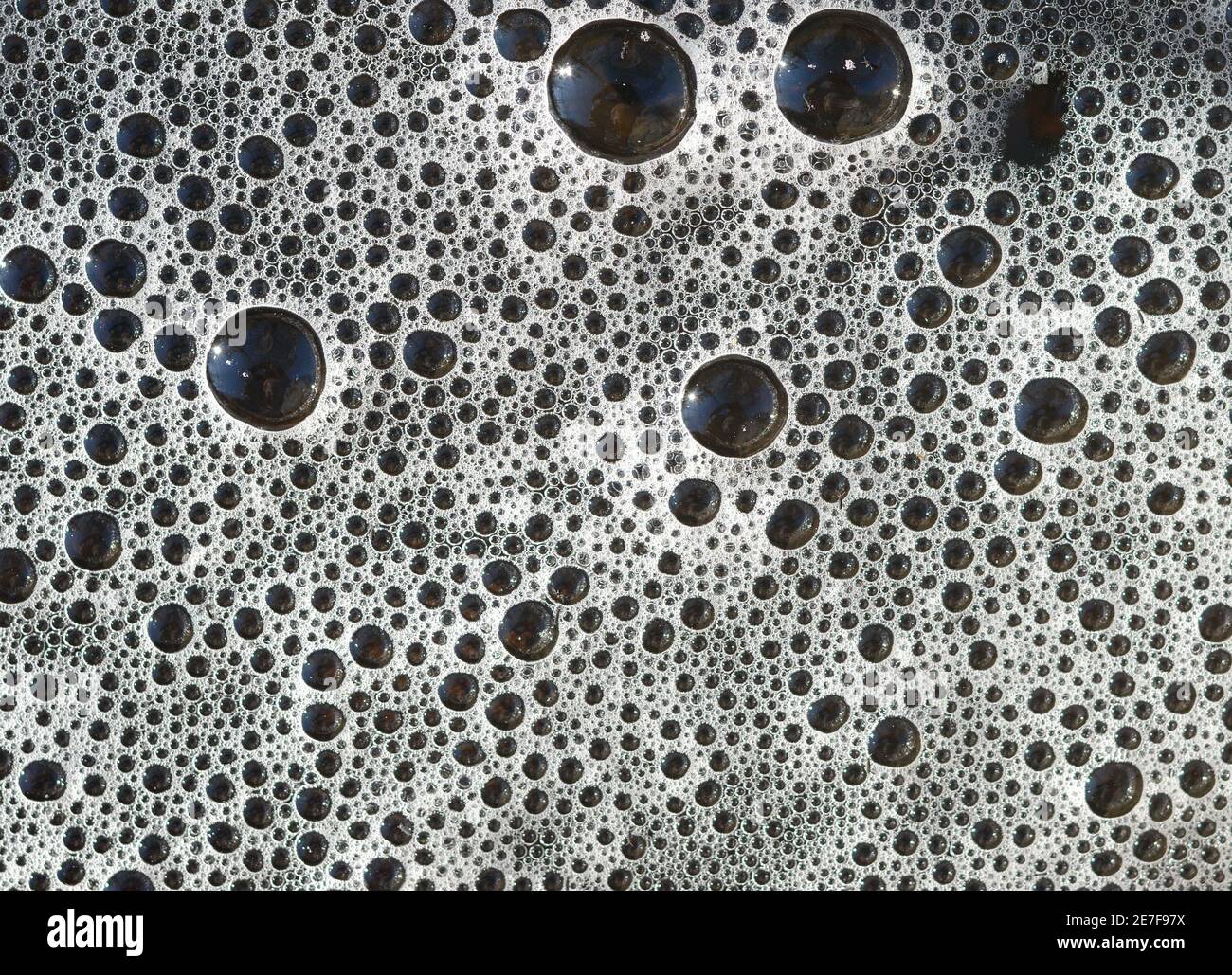 Bubbles Pattern like a Foam Texture Stock Photo - Alamy