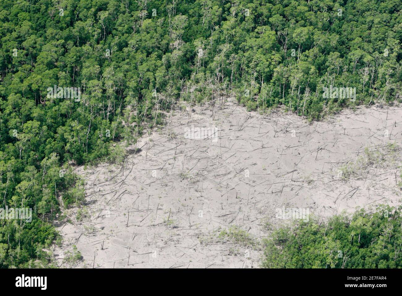 Deforestation aerial extreme hi-res stock photography and images - Alamy