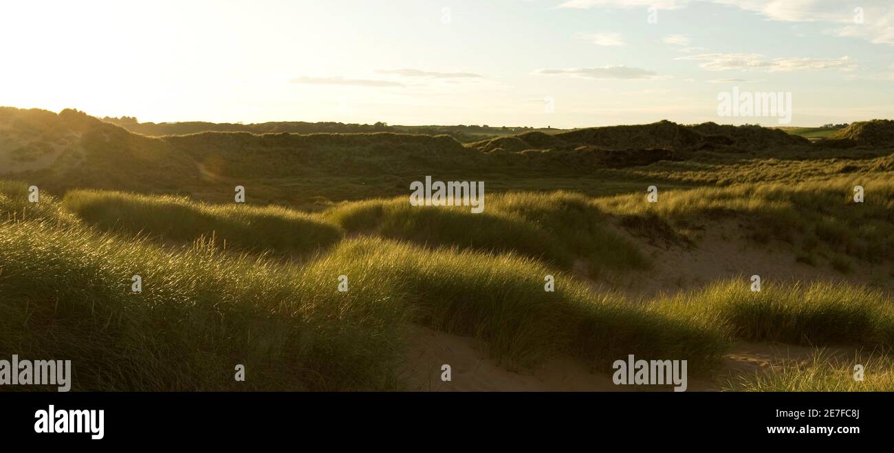 Balmedie golf hi-res stock photography and images - Alamy