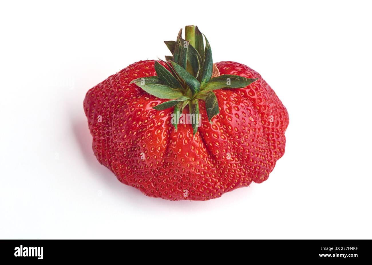 Close-up on a huge ugly strawberry on white background Stock Photo - Alamy