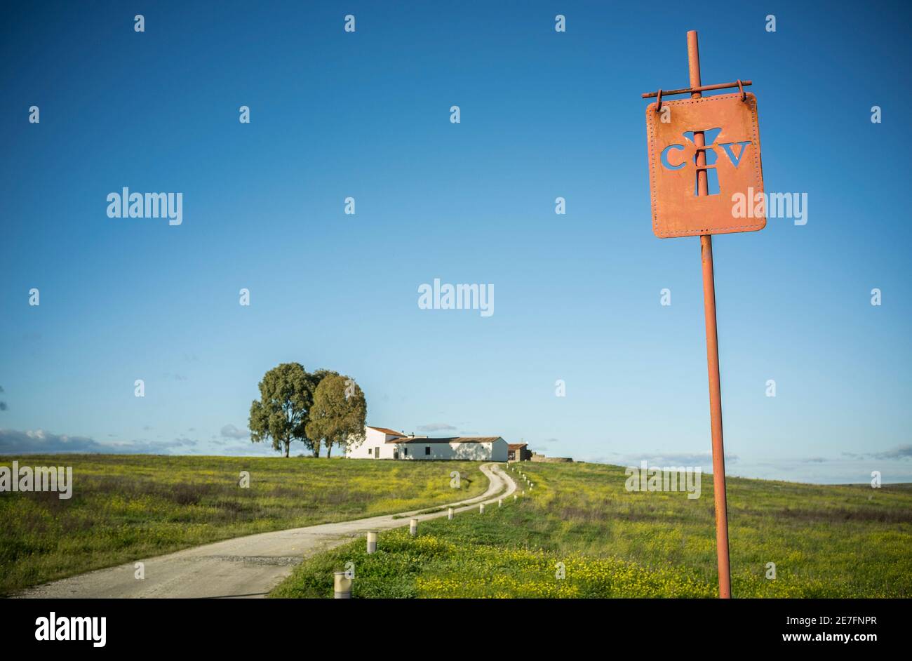 Roman legion flag hi-res stock photography and images - Alamy