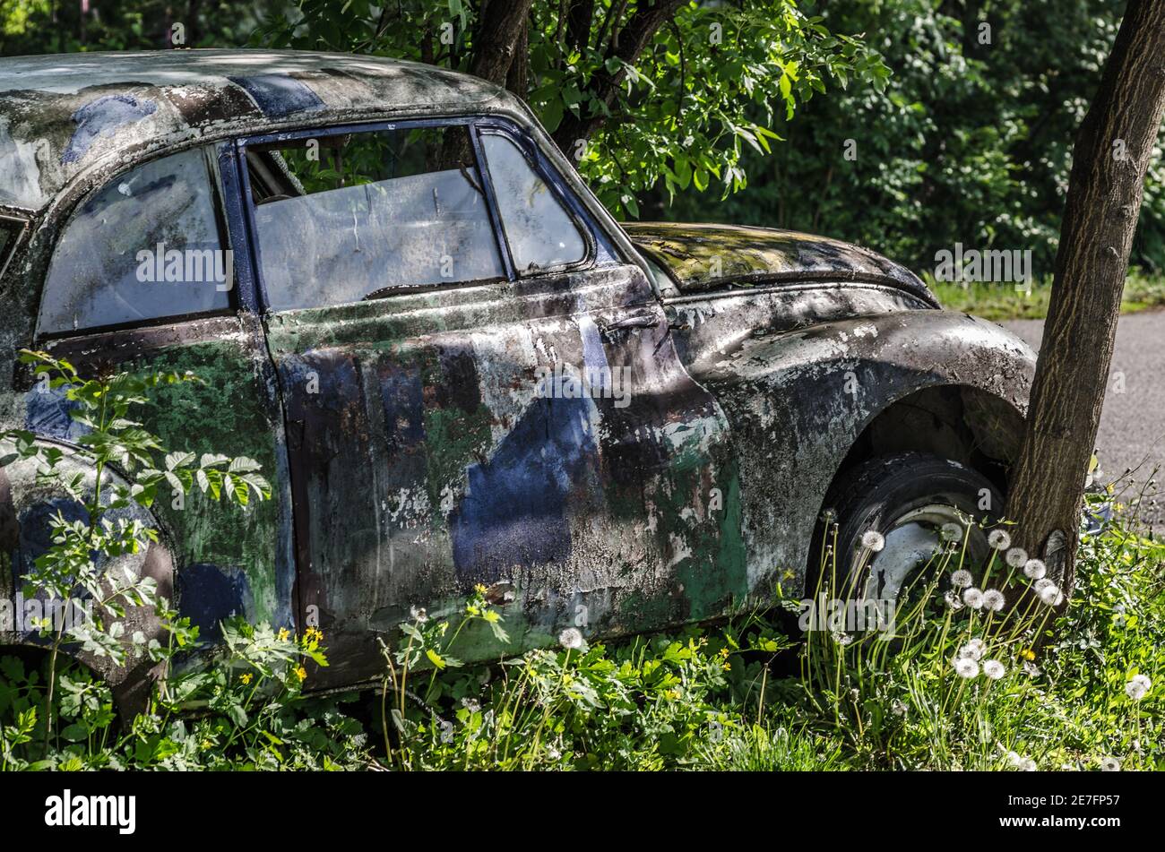 colorful classic car in nature sideview Stock Photo - Alamy