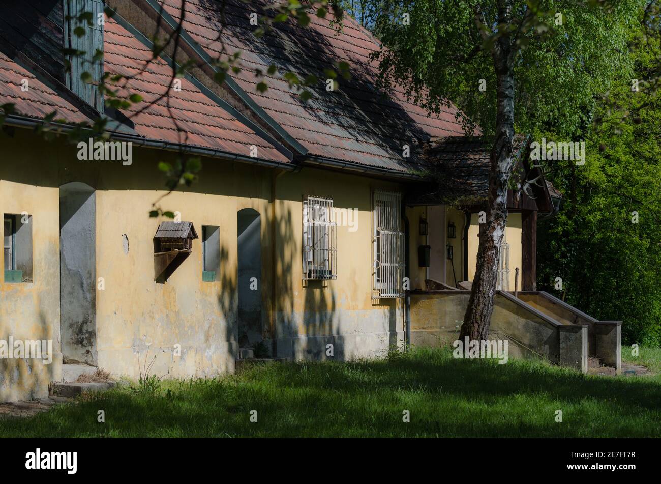 old hunter house in forest Stock Photo - Alamy
