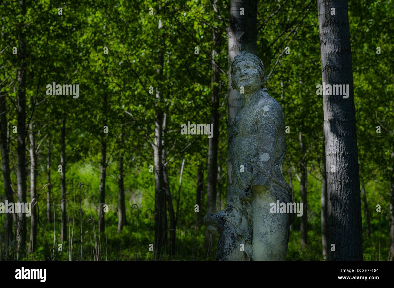 In oblivion hi-res stock photography and images - Alamy