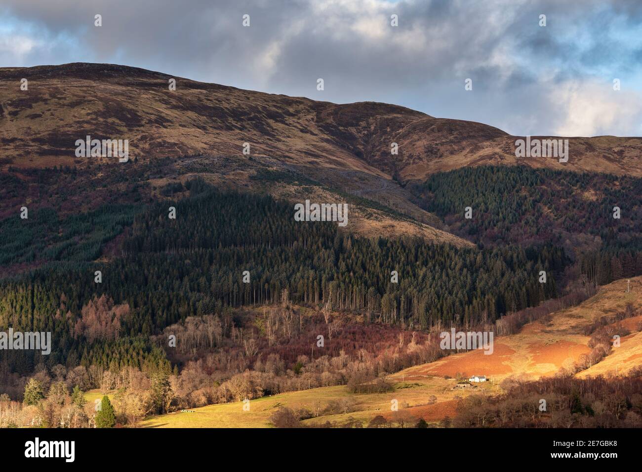 Stunning landscape iamge of soft evening light on the fells beside Loch ...