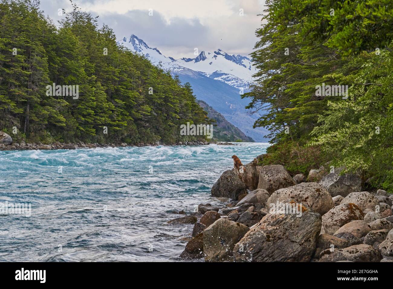 Rapids of wild river Rio Baker streaming down along the carretera ...