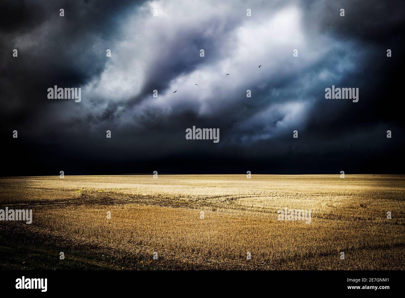 Storm over field Stock Photo - Alamy