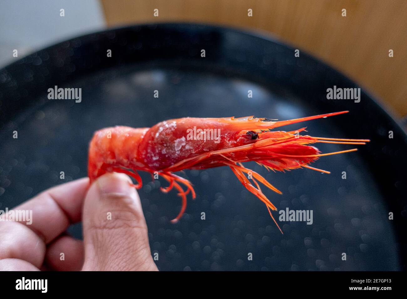 Selective focus shot of a hand holding a fresh big red shrimp Stock ...