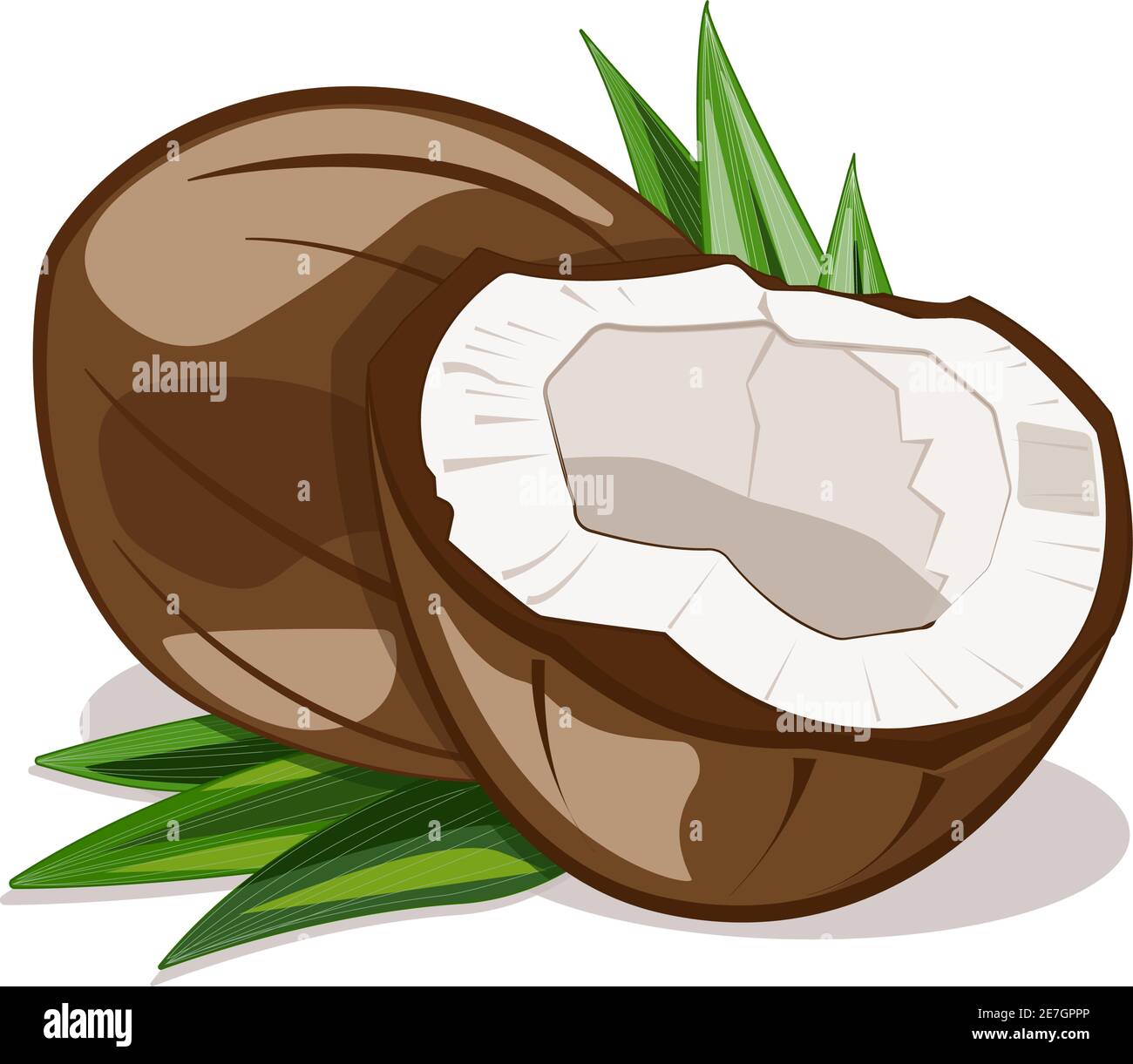 Ice cream tropical fruits Cut Out Stock Images & Pictures - Alamy