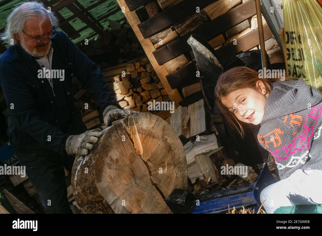 A young girl helping her grandfather to split logs using a mechanical ...