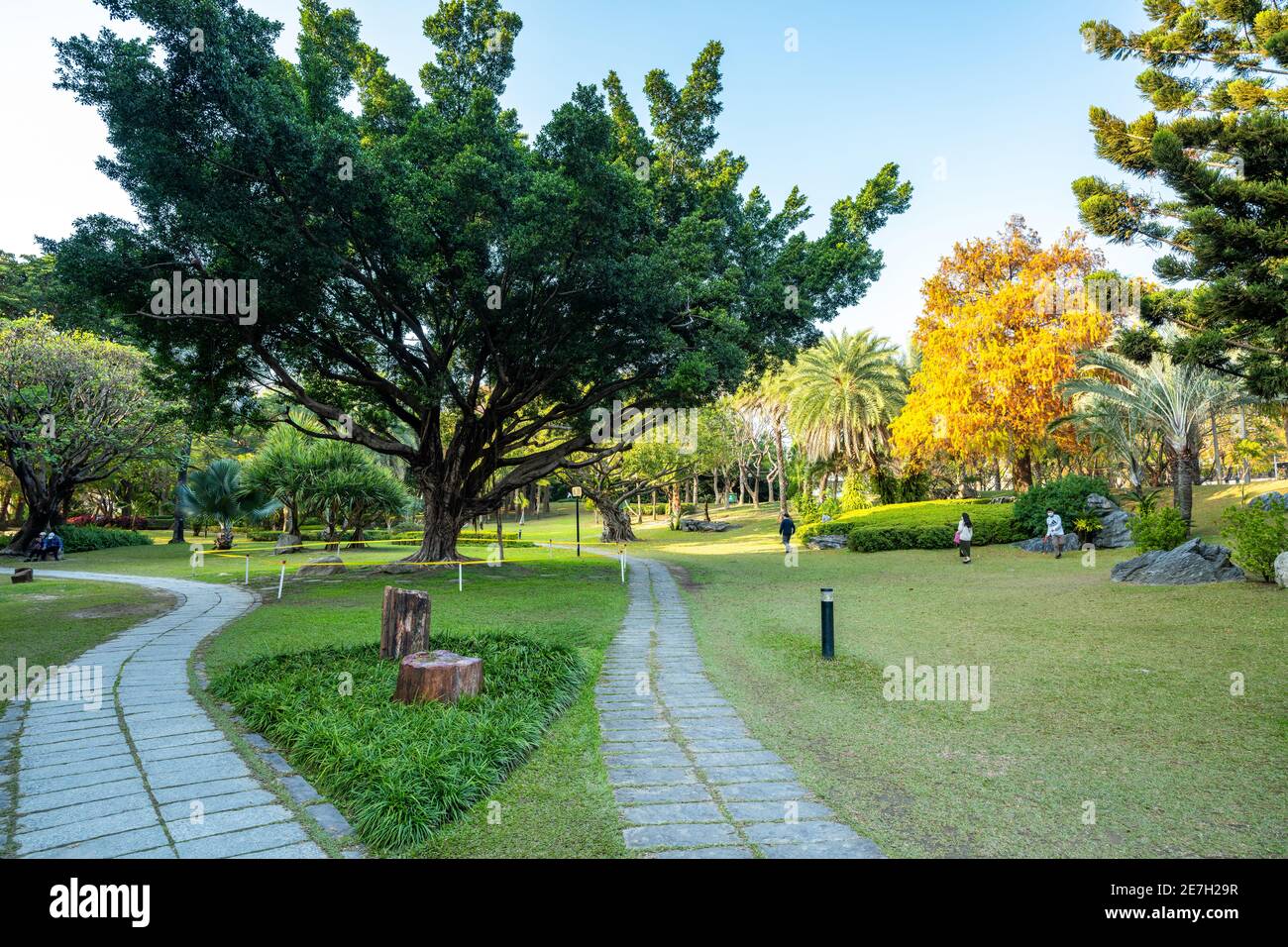 National Museum of Natural Science Park lawn. Tourists relax and play ...