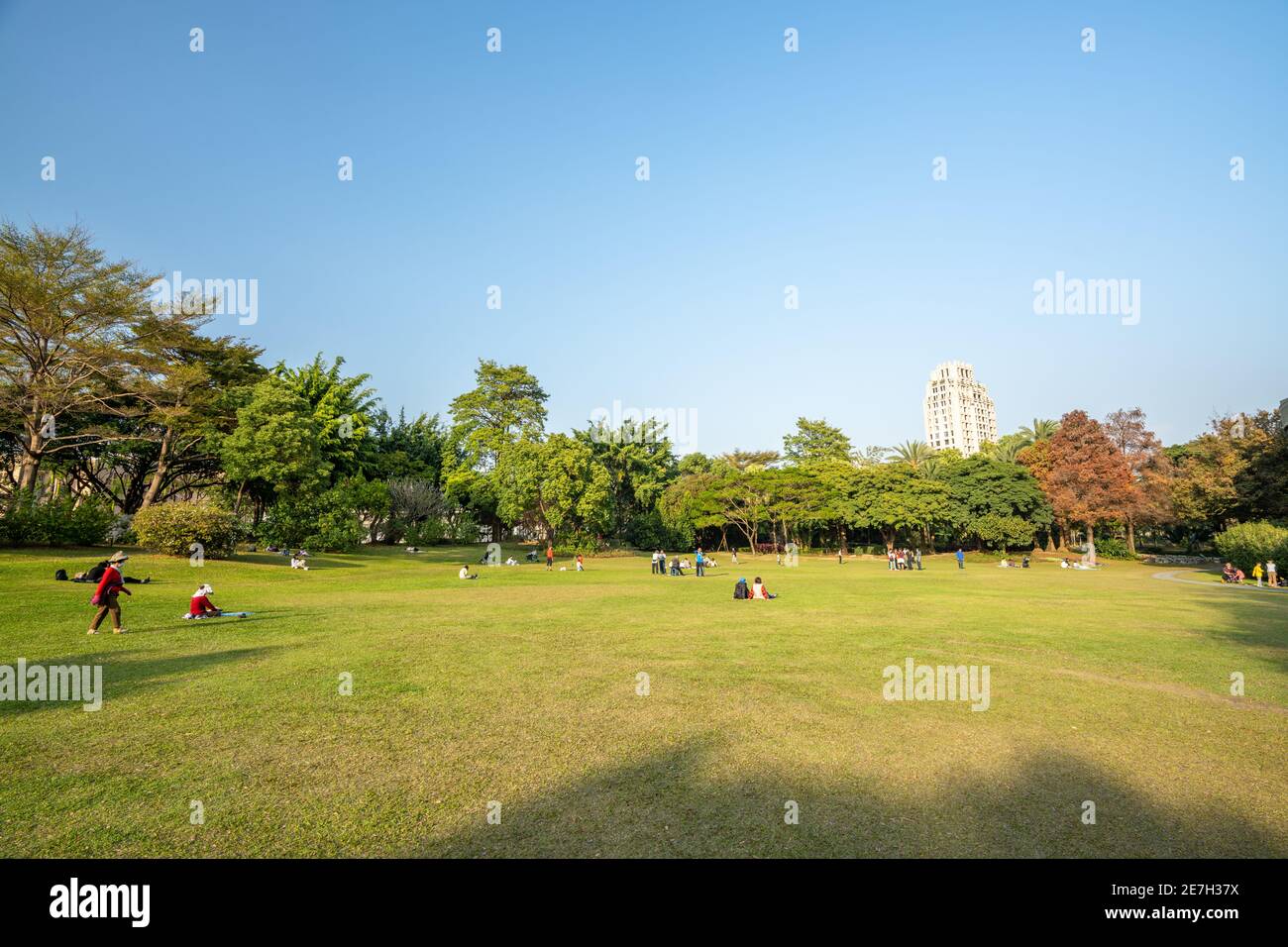 National Museum of Natural Science Park lawn. Tourists relax and play ...