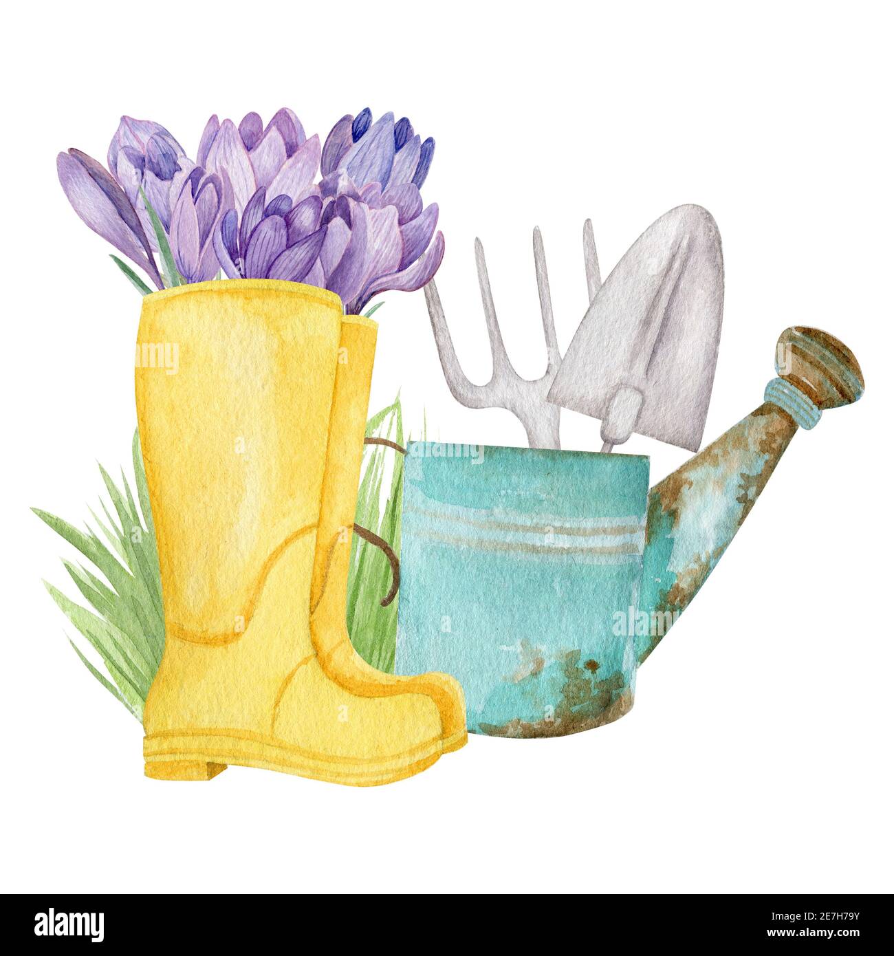 Watercolor lavender white background Cut Out Stock Images & Pictures ...