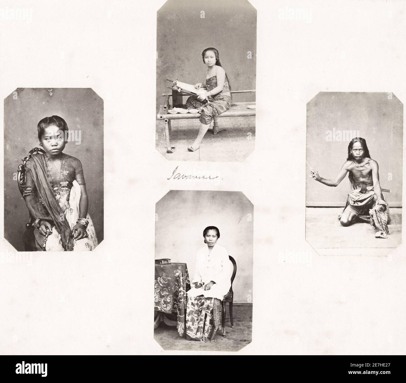 Alpine Race Characteristics