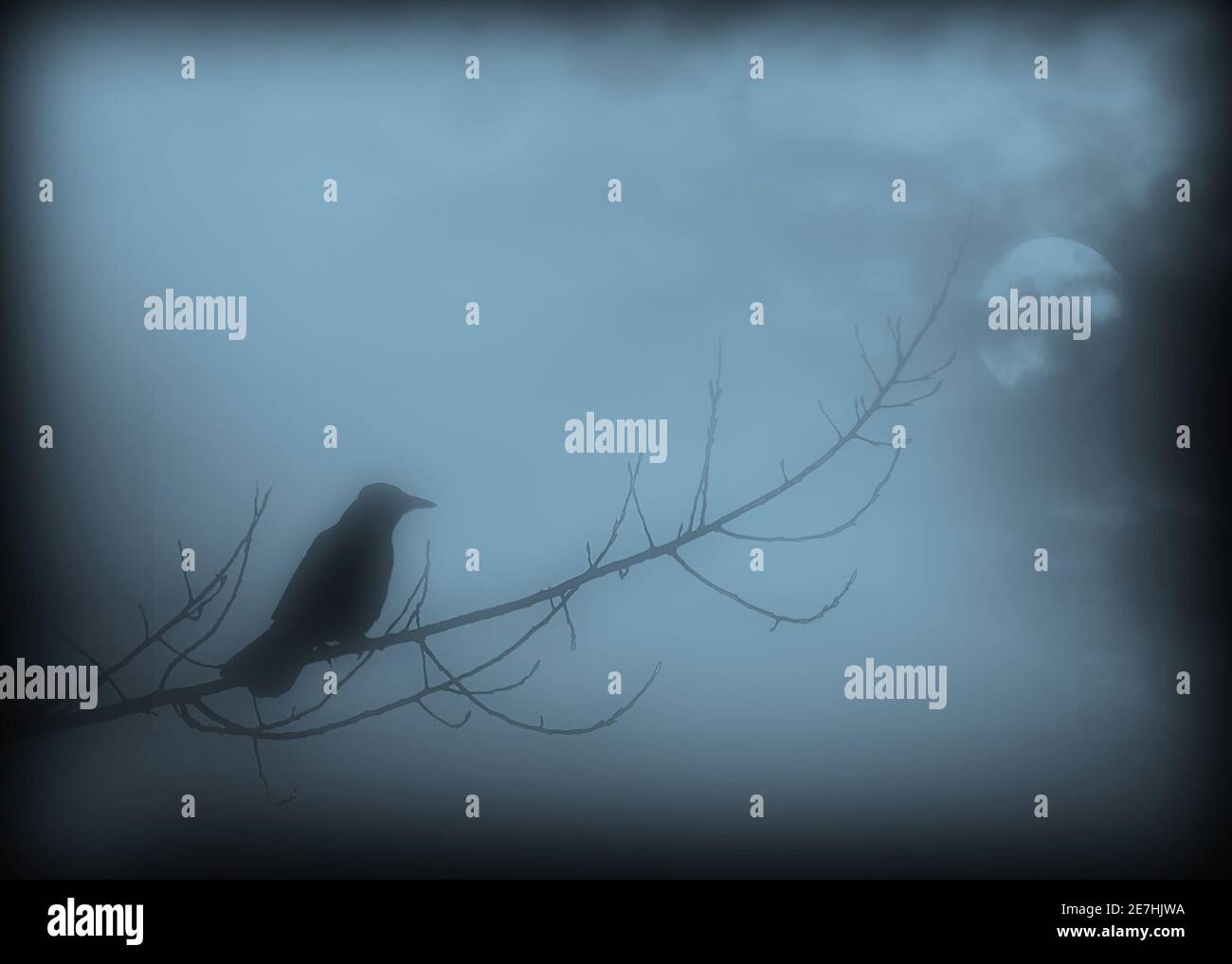 Mist crow hi-res stock photography and images - Alamy