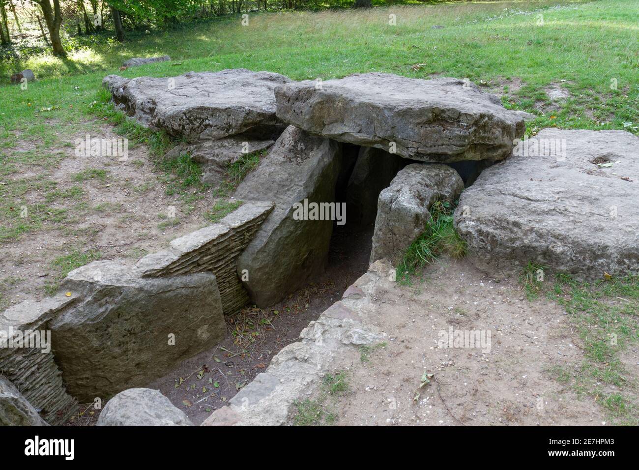Neolithic horse hi-res stock photography and images - Alamy