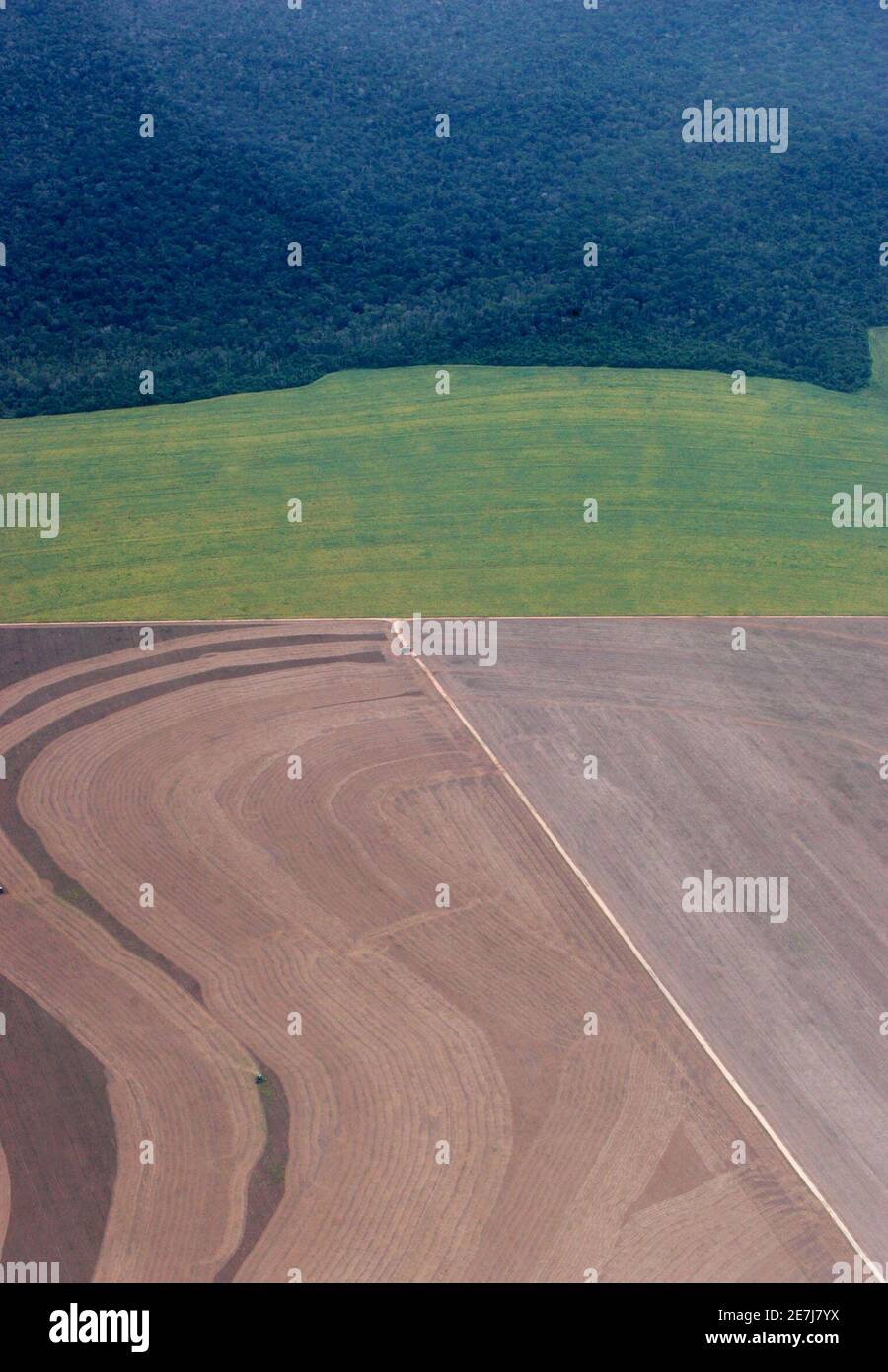Logging amazon aerial hi-res stock photography and images - Alamy