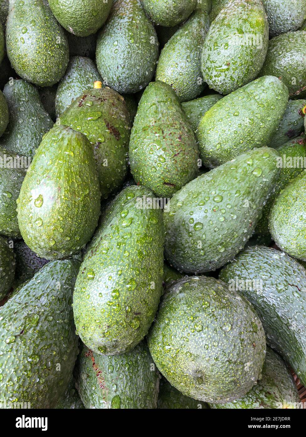 pile of green ripe avocados with water drops on them, as a background ...