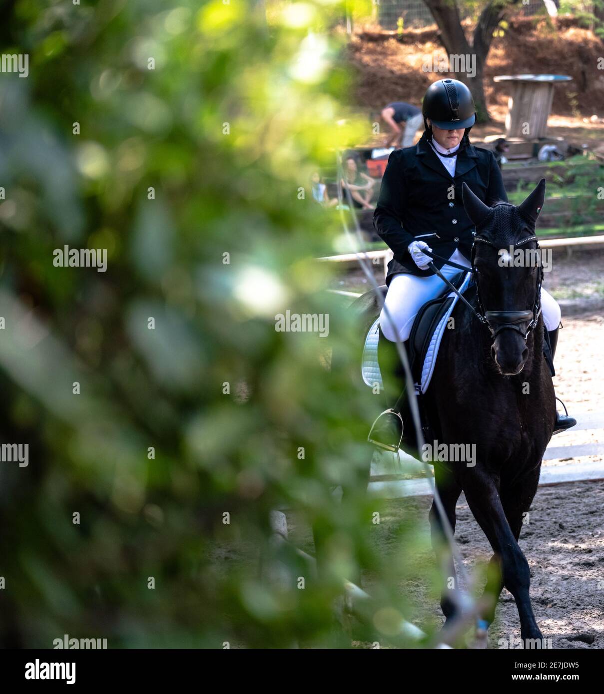 Dressage patterns hi-res stock photography and images - Alamy