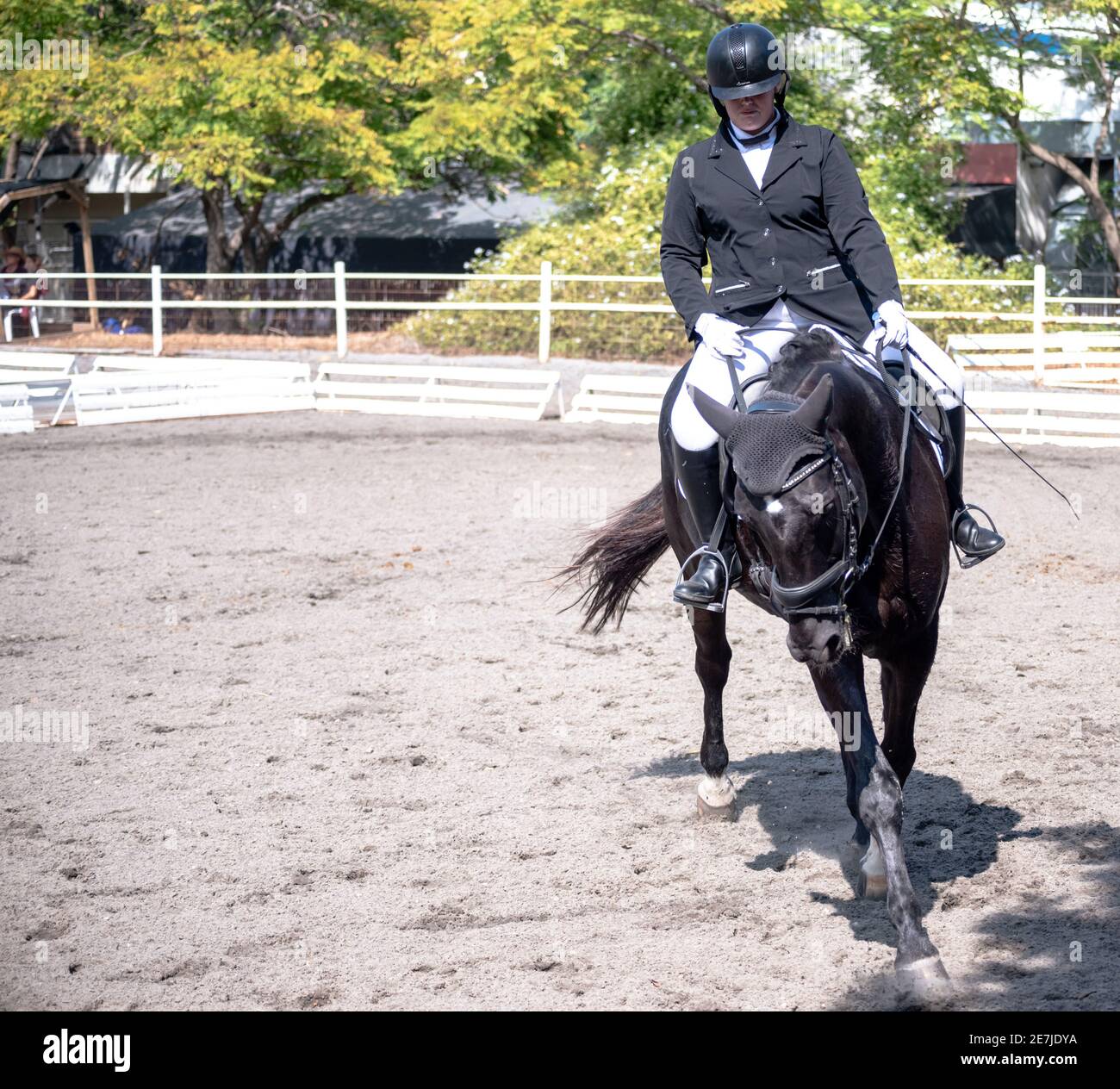 Dressage patterns hi-res stock photography and images - Alamy