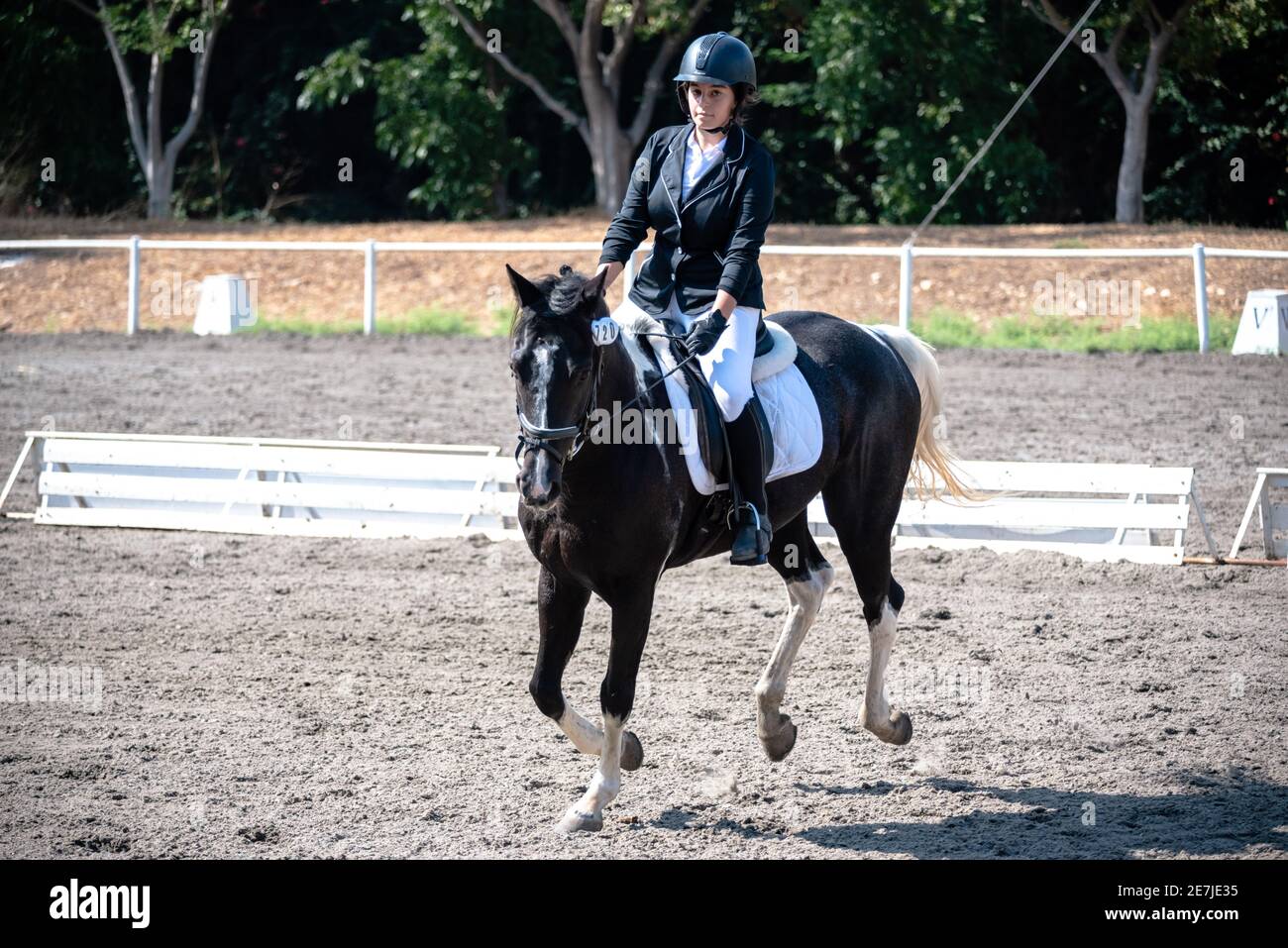 Dressage patterns hi-res stock photography and images - Alamy