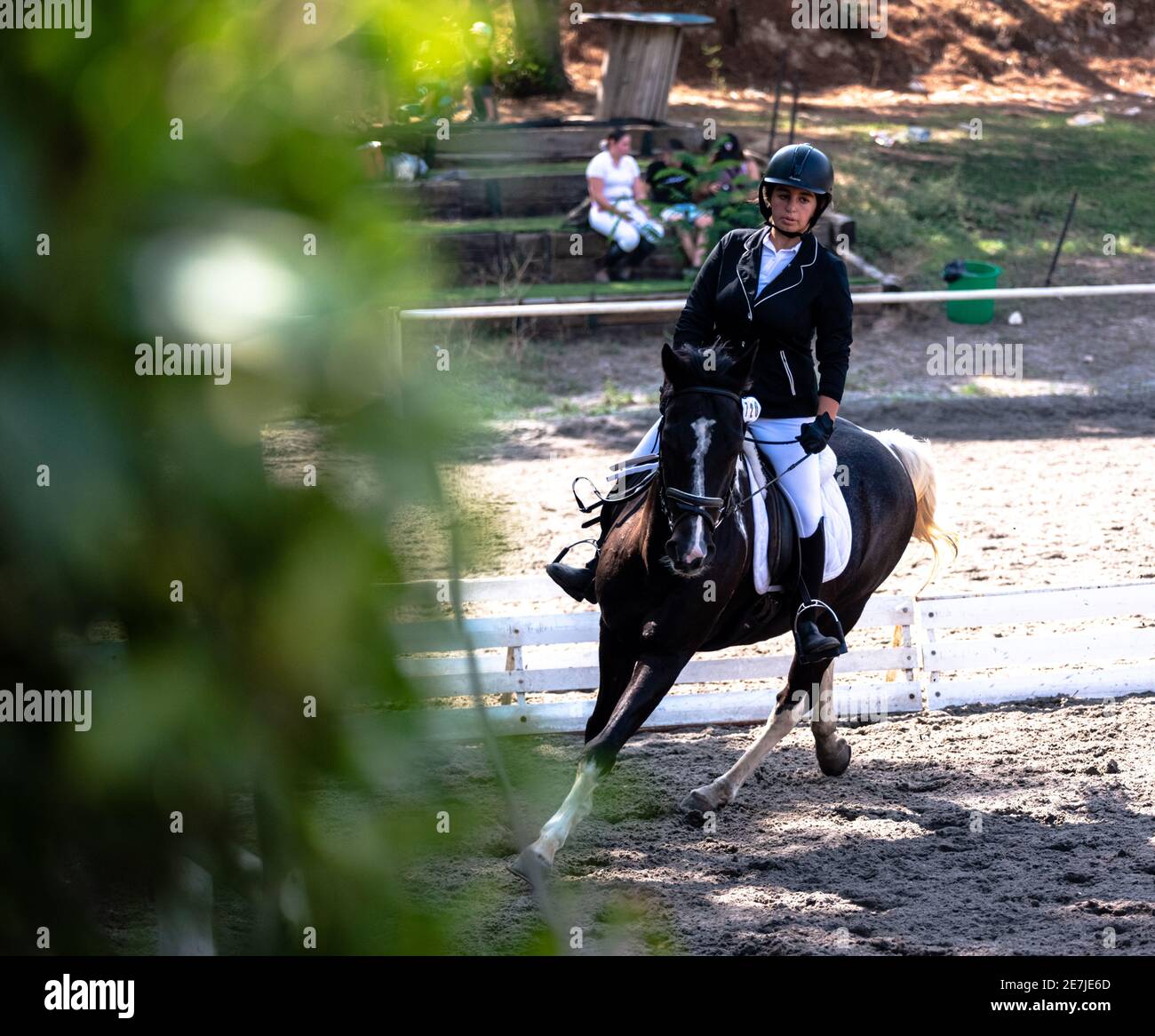 Dressage patterns hi-res stock photography and images - Alamy
