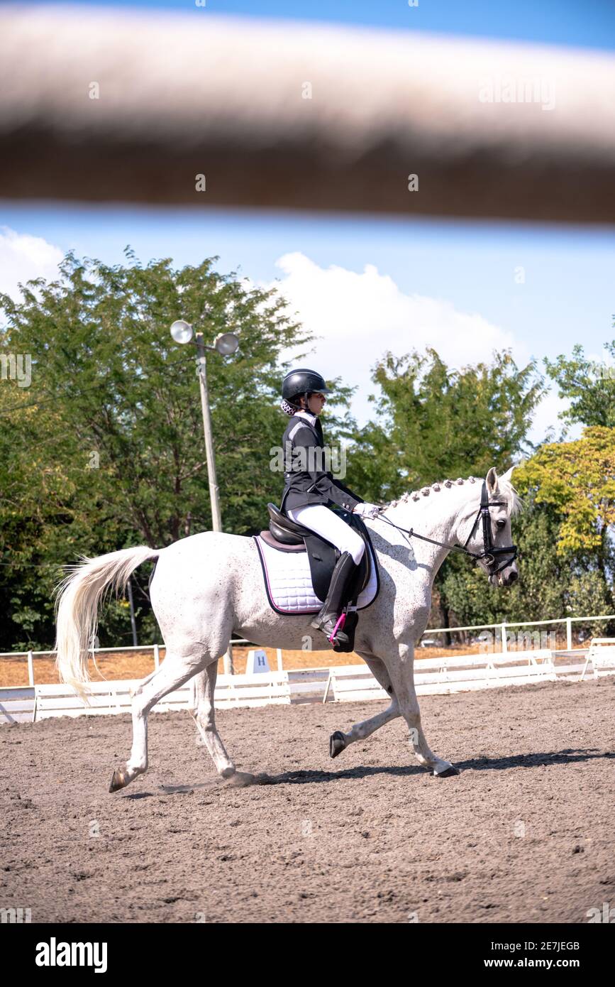 Dressage competition hi-res stock photography and images - Alamy