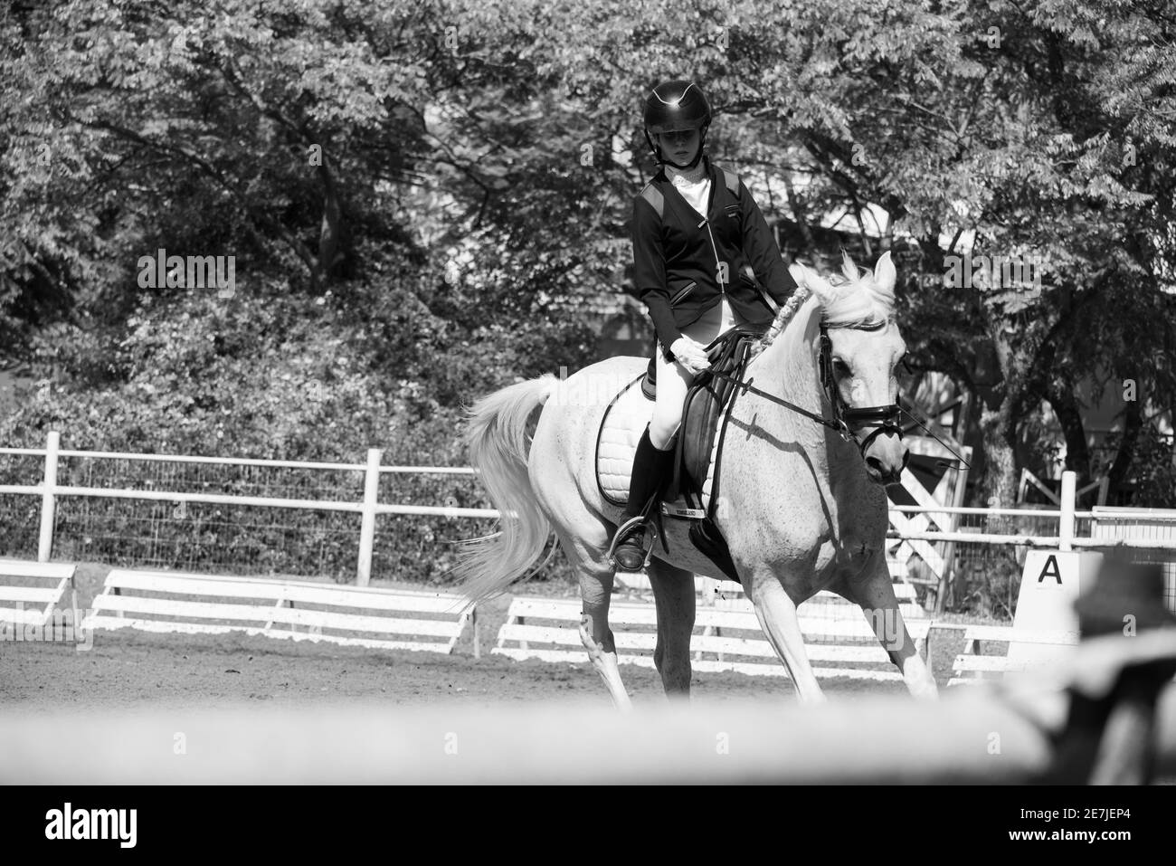Dressage patterns hi-res stock photography and images - Alamy