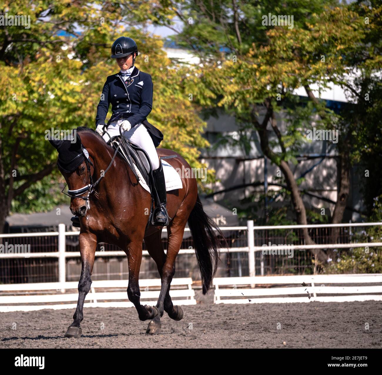 Dressage test movements hi-res stock photography and images - Alamy