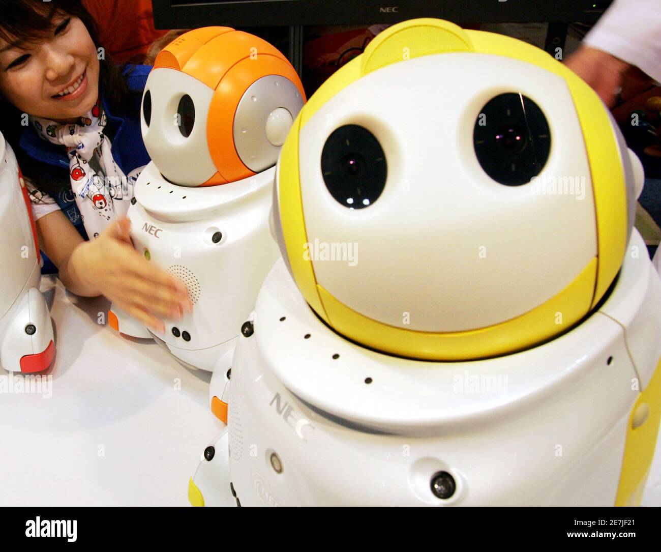 Papero hi-res stock photography and images - Alamy