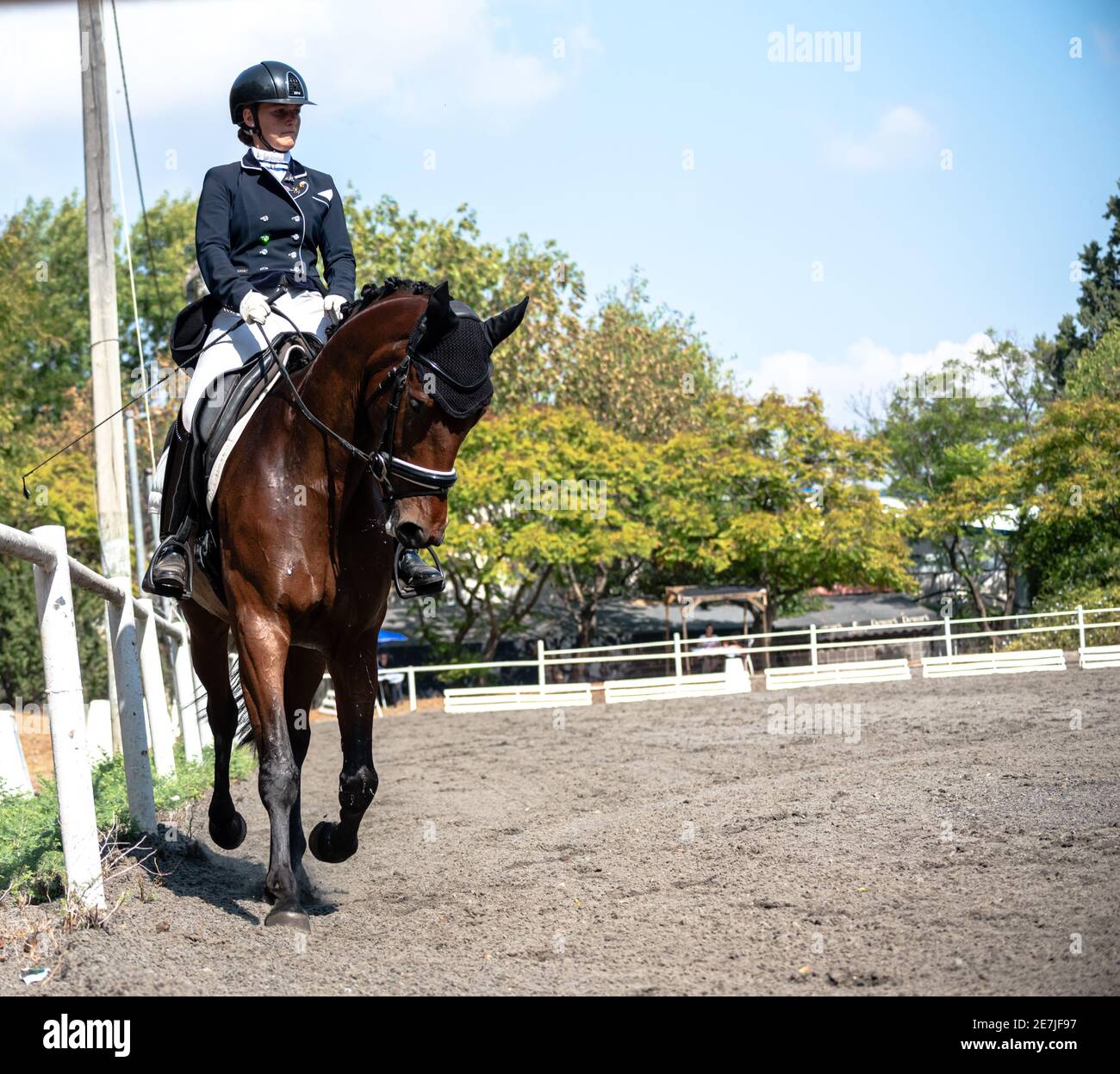 Dressage test movements hi-res stock photography and images - Alamy