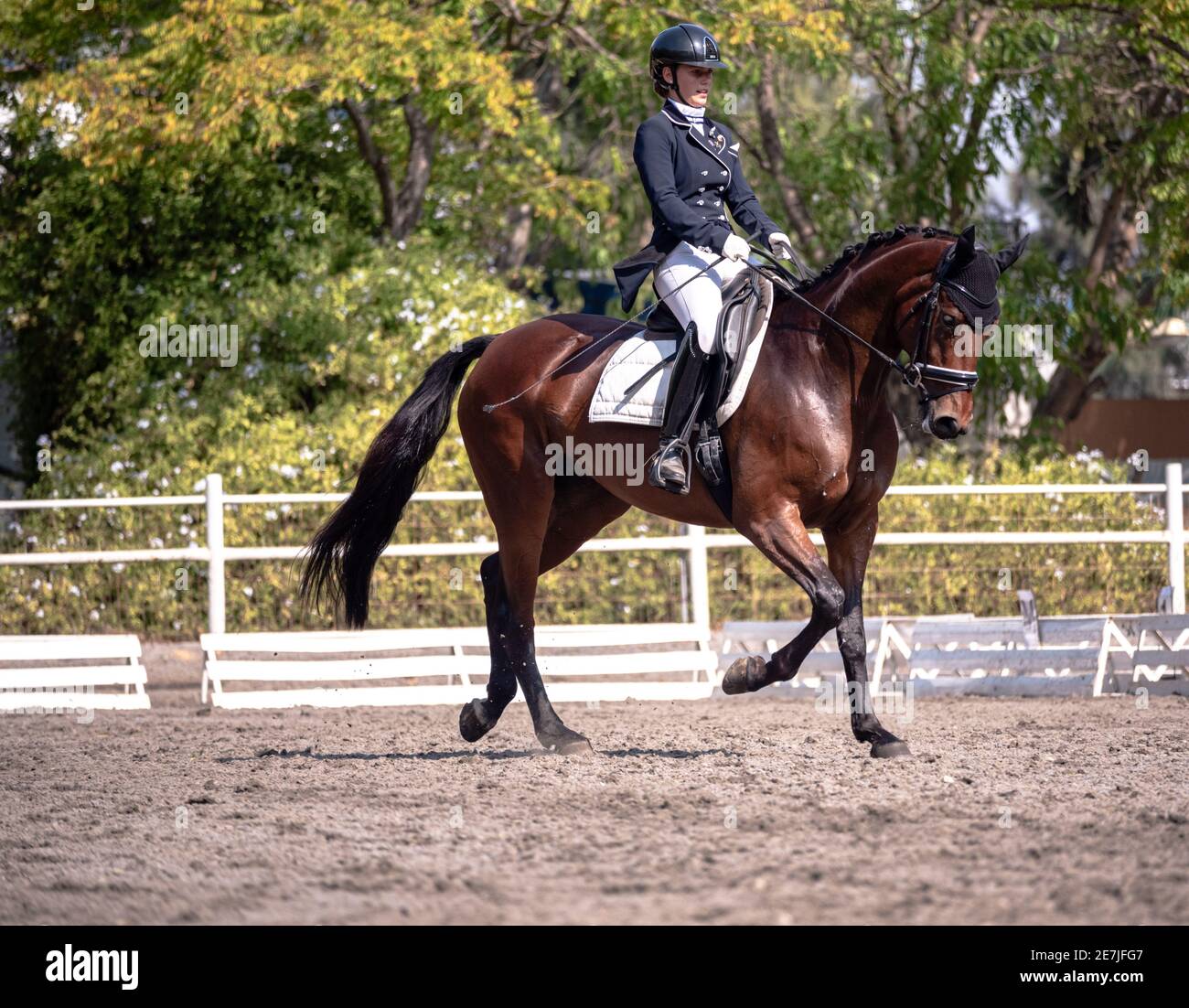Dressage patterns hi-res stock photography and images - Alamy