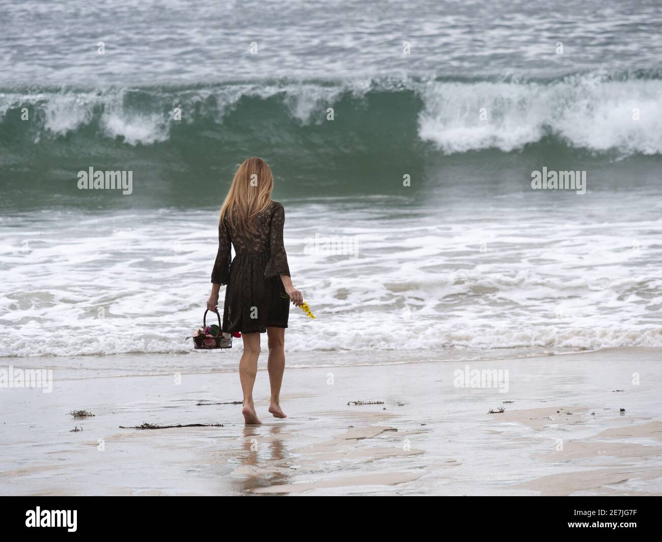 Back view of a female with a flower basket walking along the wavy ...