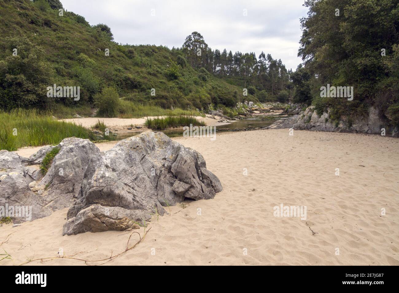 Beautiful landscape of a lake with dense greenery - rock and sand in ...