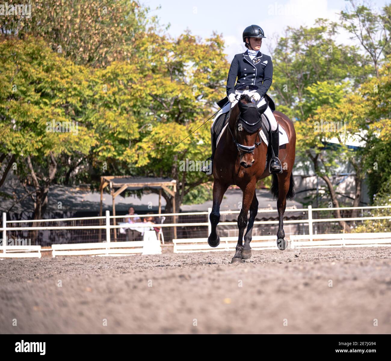 Dressage patterns hi-res stock photography and images - Alamy