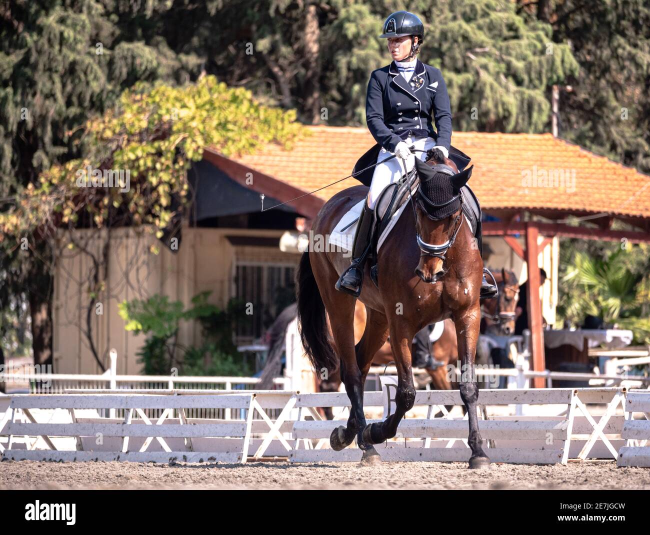 Dressage test movements hi-res stock photography and images - Alamy