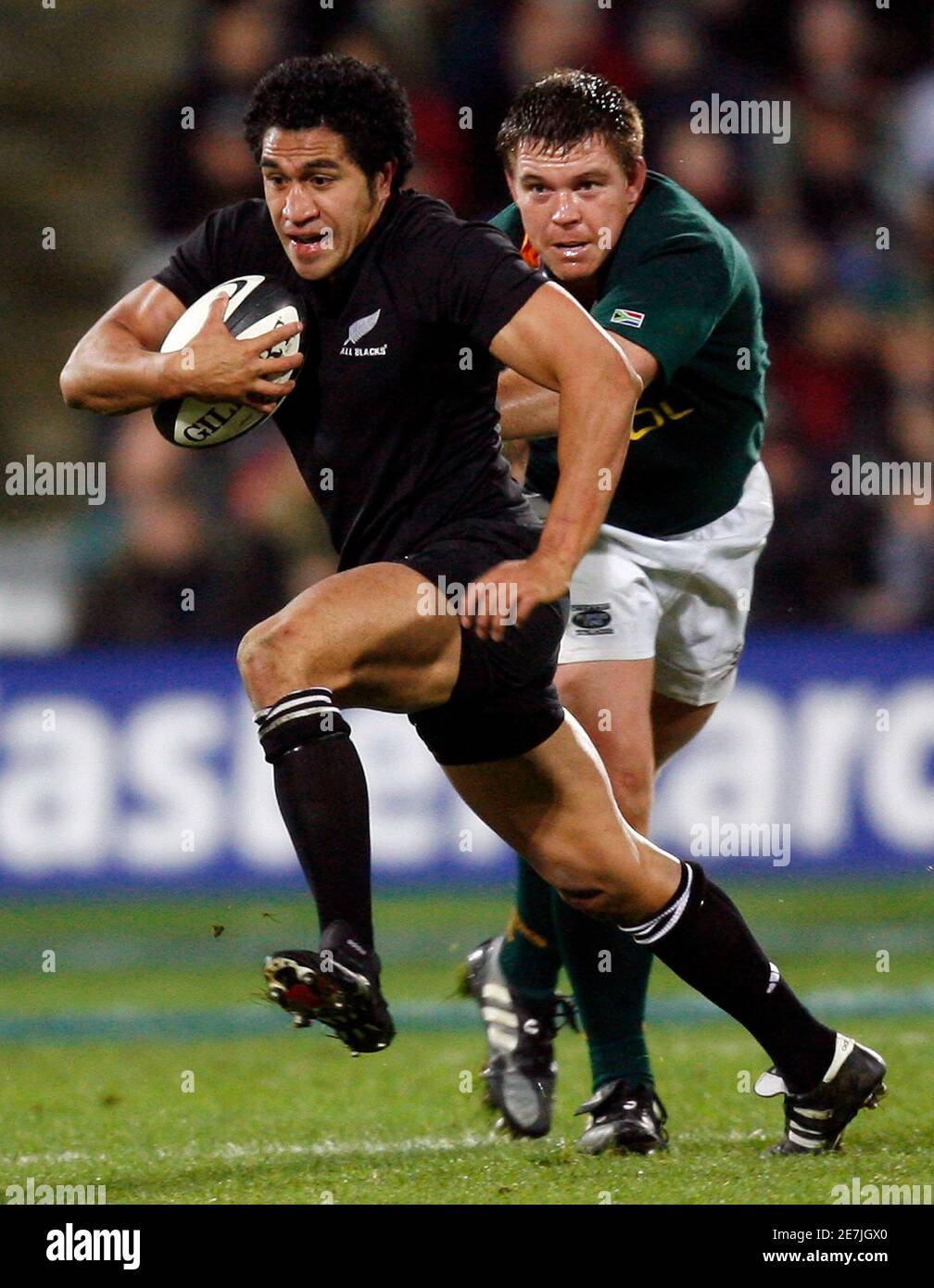 Springbok wing hi-res stock photography and images - Alamy