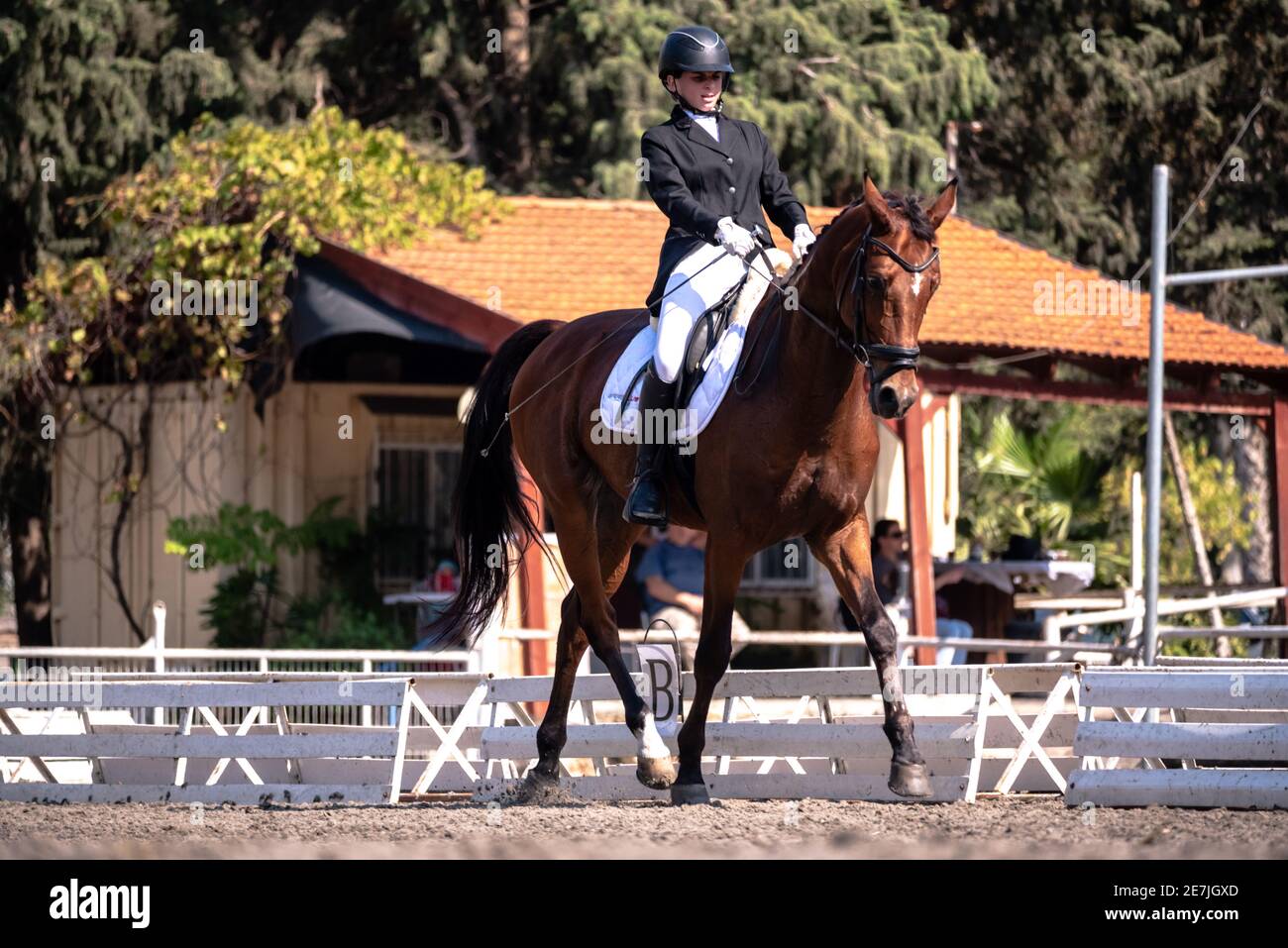 Dressage test movements hi-res stock photography and images - Alamy